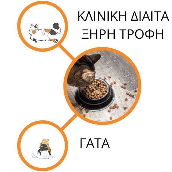 Κλινική Δίαιτα Ξηρή Τροφή Γάτα Archives | HumanPet | Pet Shop