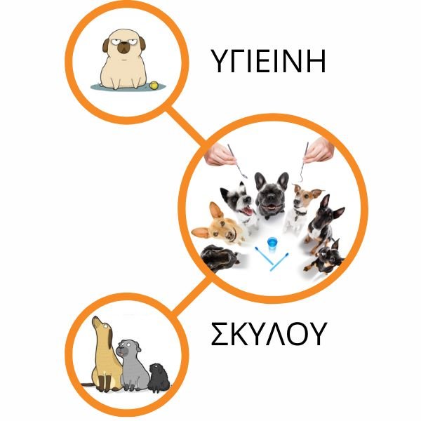 Προϊόντα υγιεινής για το σκύλο